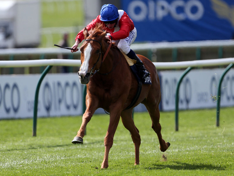 20 Surprising & Amazing Horse Racing Facts | HorseRacingFanClub.com