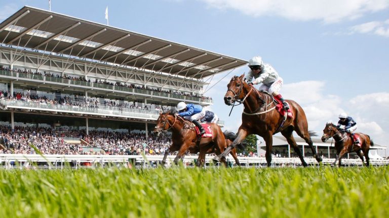 Understanding Racing Betting Odds | HorseRacingFanClub.com