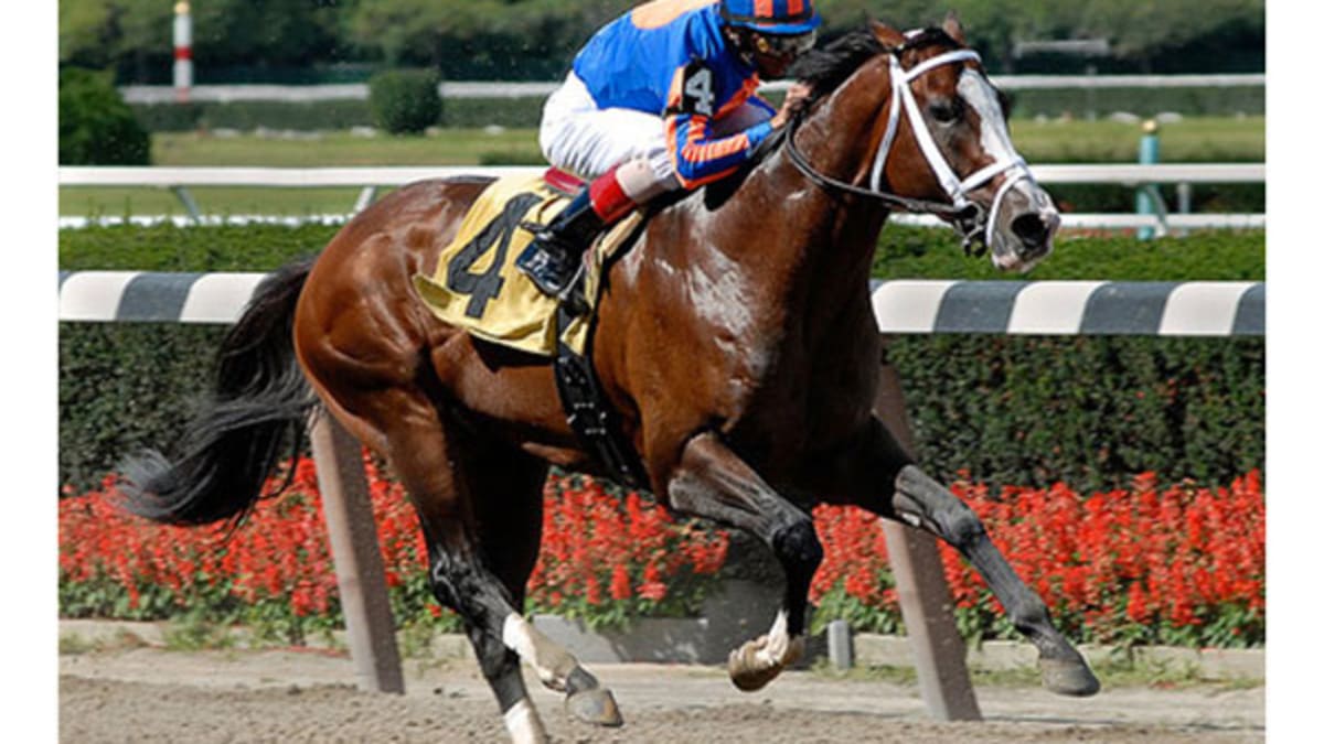 A Look At How Professional Racing Horses Are Trained