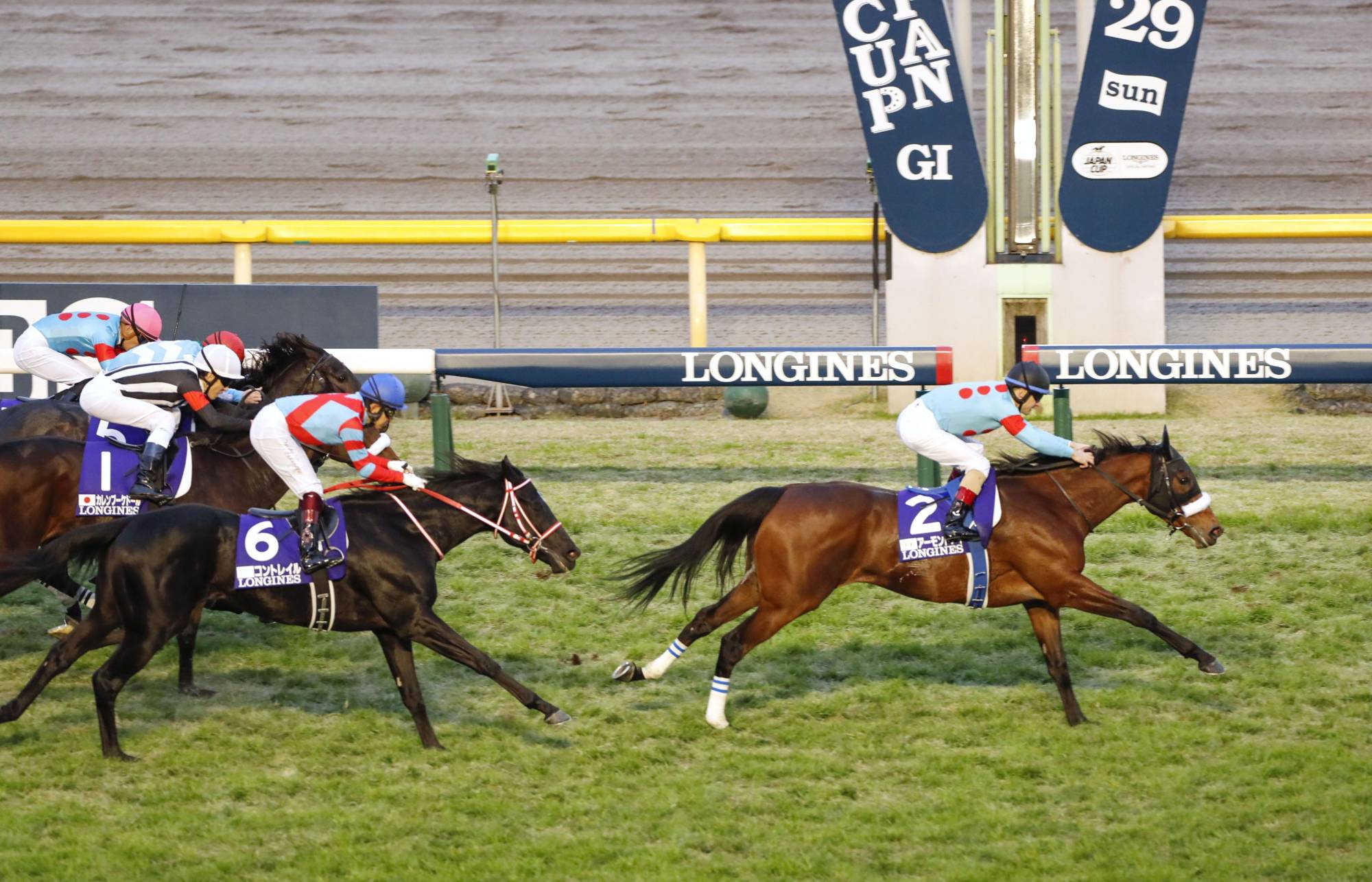 The Allure Of Horse Racing Explained